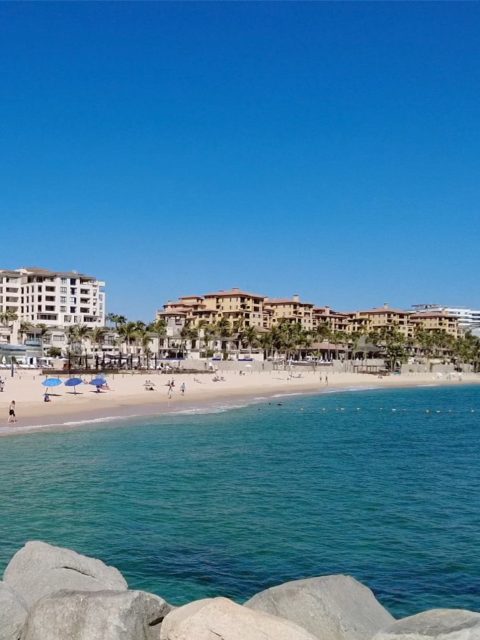Home - Fly Fish Cabo