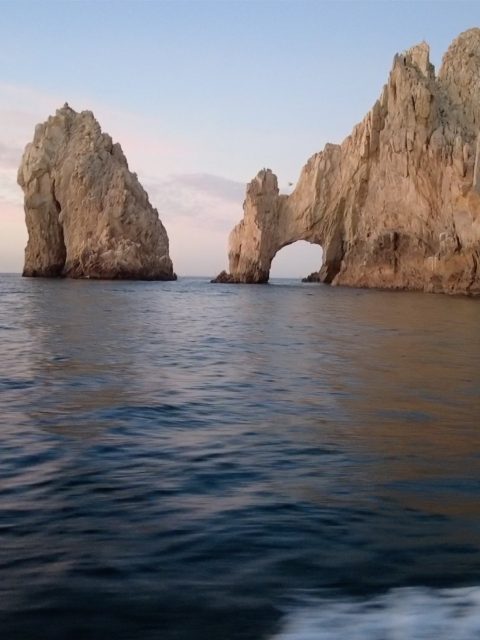 Home - Fly Fish Cabo
