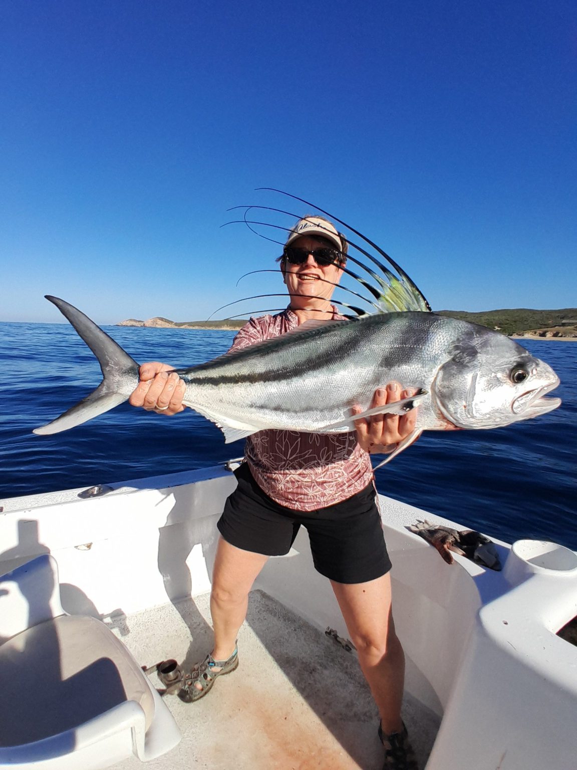 Home - Fly Fish Cabo
